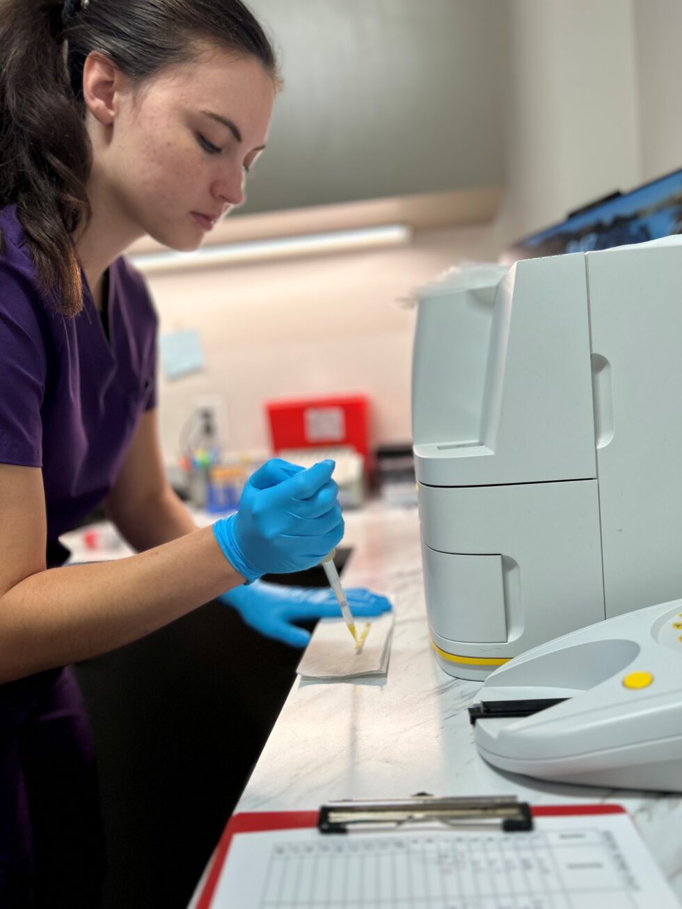 Pet Diagnostic & Imaging In Traverse City, MI | Oakwood Veterinary Hospital